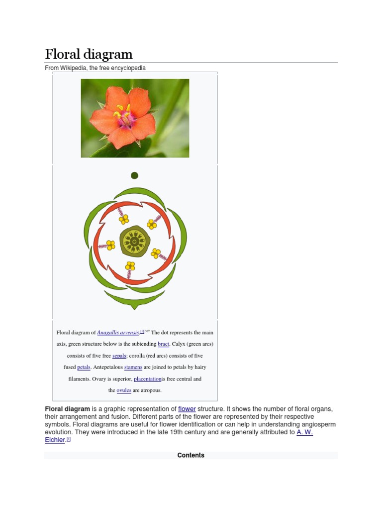 Floral Diagram | PDF | Branches Of Botany | Plants