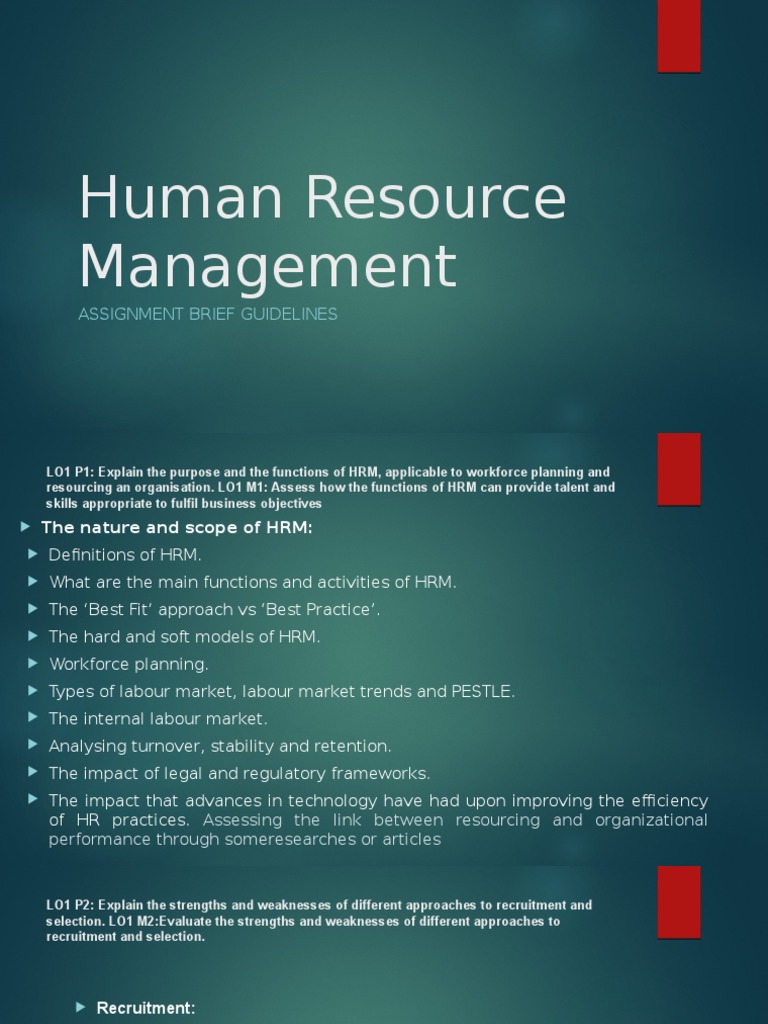 Human Resource Management Guidelines | PDF | Human Resource Management ...