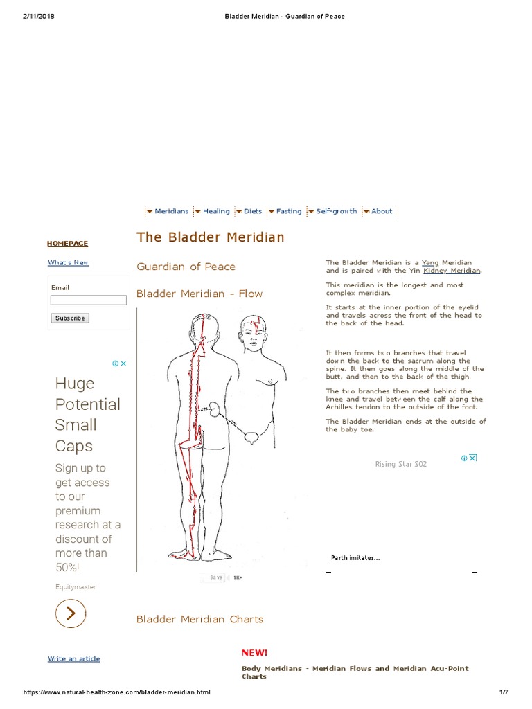 Bladder Meridian - Guardian of Peace | PDF | Constipation | Abdomen