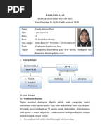 Jenis Burung Elang Di Indonesia | PDF