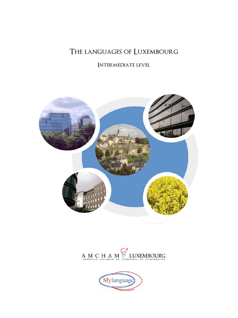 Intermediate LL5 | PDF | Adjective