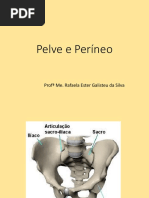 Pelve e Períneo | PDF | Pélvis | Anatomia
