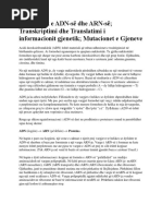 Gjendja Civile | PDF