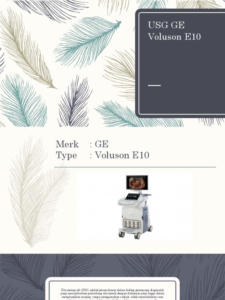 Fungsi TGC pada USG GE Voluson E10 | PDF | Metode & Bahan Ajar ...