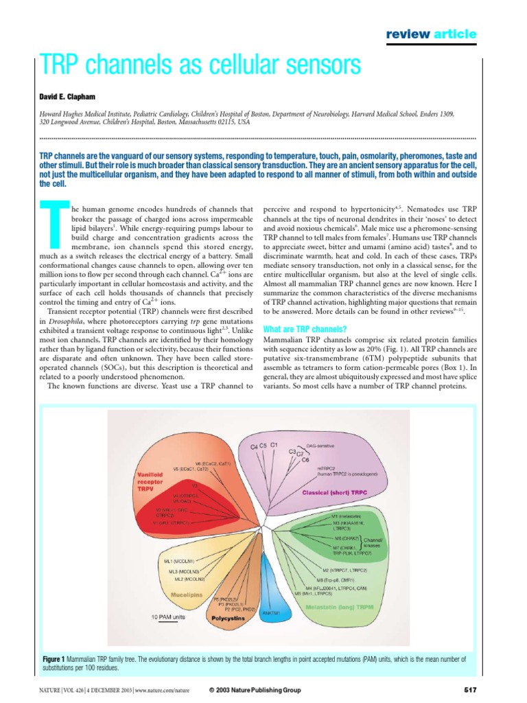 TRP Channels As Cellular Sensors David E. Clapham Howard | PDF | Ion ...