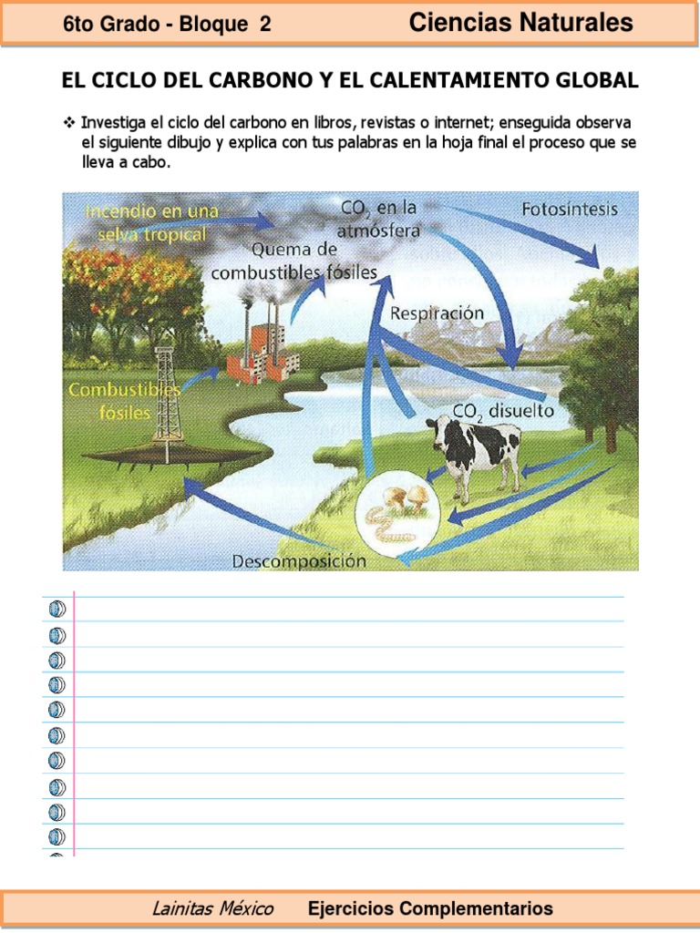 6to Grado - Ciencias - Ciclo Del Carbono | PDF