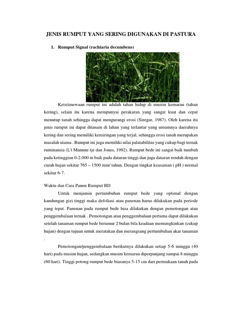 Jenis Rumput Pastura | PDF