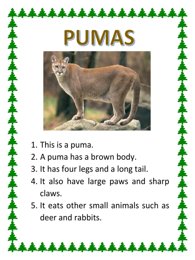 English Panel Animals | PDF