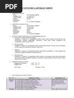 Panduan Lembar DDST untuk Anak | PDF