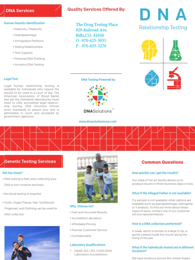 Dna Brochure | PDF | Dna Profiling | Biology