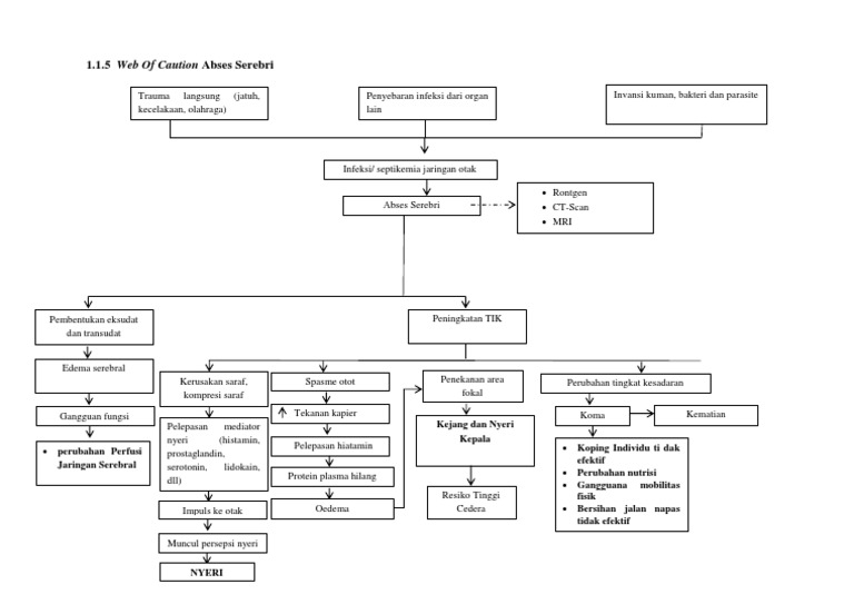 Abses Serebri: Penyebab, Gejala, dan Risiko | PDF