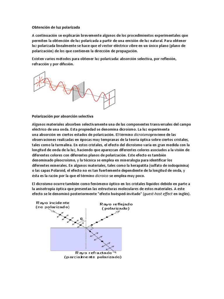 absorcion selectiva | Polarización (ondas) | Óptica