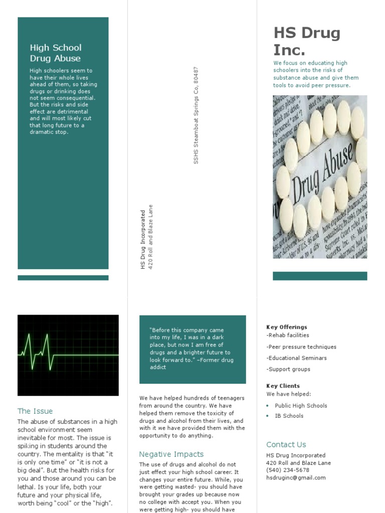 High School Drug Abuse | PDF | Substance Abuse | Adolescence