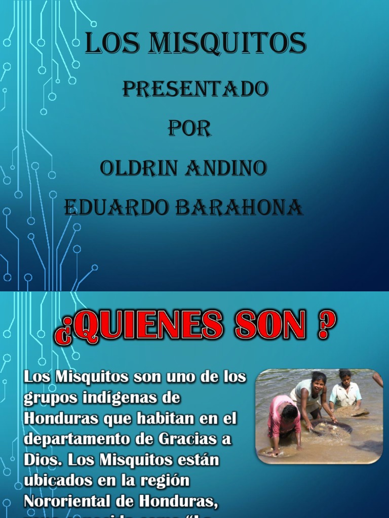 Presentación de Los Miskitos | PDF | Honduras