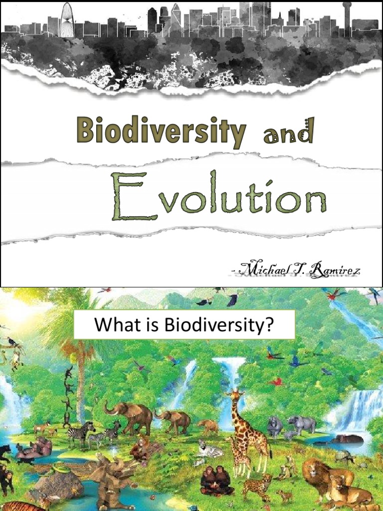 Module 3 - Biodiversity and Evolution | PDF | Fossil | Natural Selection