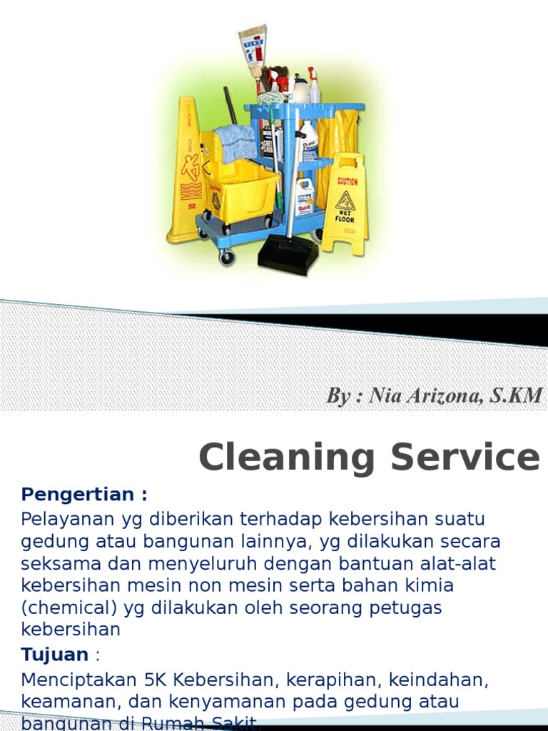 Cleaning Service | PDF