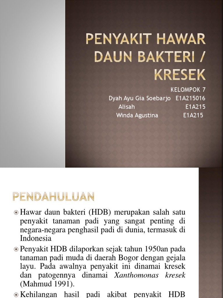 Penyakit Hawar Daun Bakteri PPT Pestisida | PDF