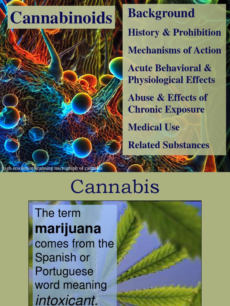 Cannabinoids: Background | PDF | Medical Cannabis | Cannabis (Drug)
