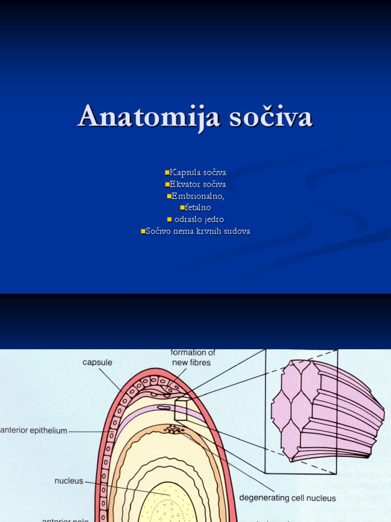 Sociva | PDF