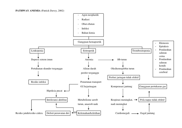 Pathway Anemia dan Dampaknya | PDF