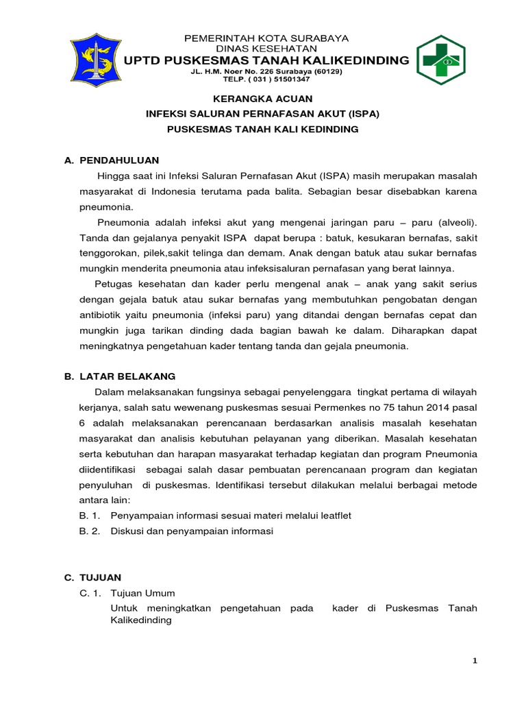 Kak Ispa Pneumonia | PDF