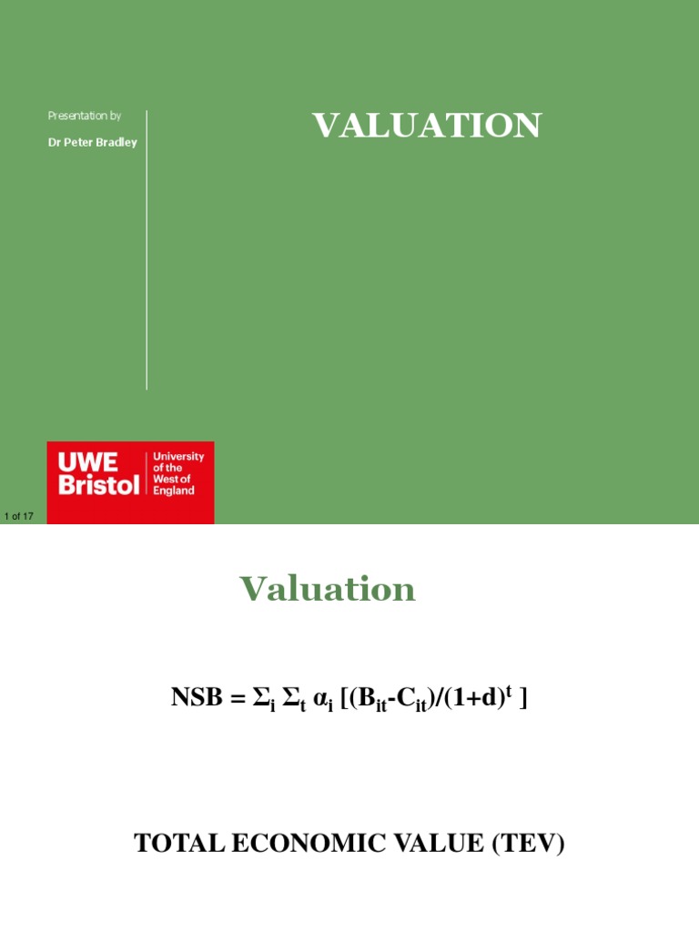 Lecture 4 Valuation | PDF | Economics | Agriculture
