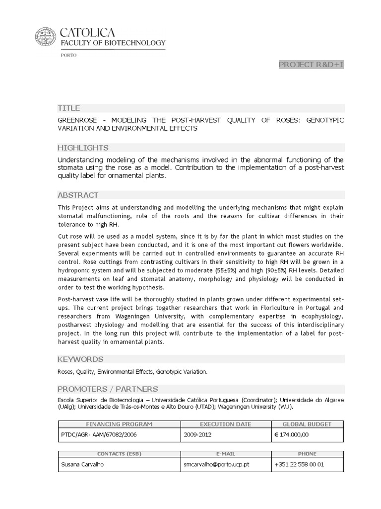 Project R&D+I: Financing Program Execution Date Global Budget | PDF ...