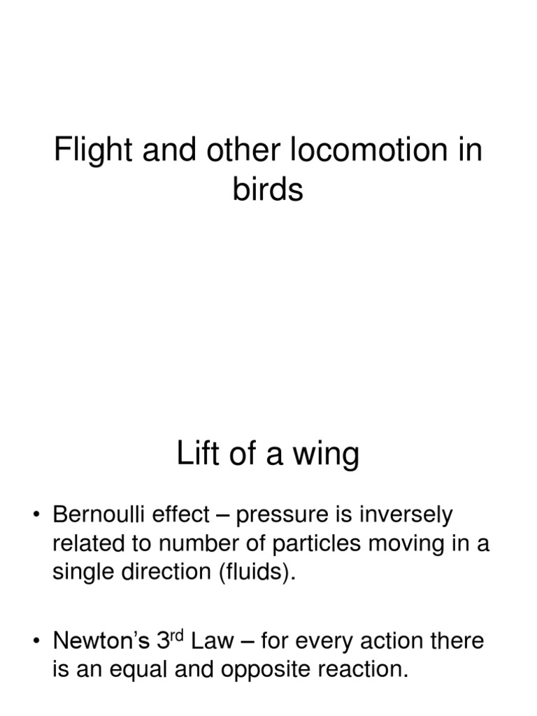 Flight and Other Locomotion in Birds | PDF | Drag (Physics) | Wing