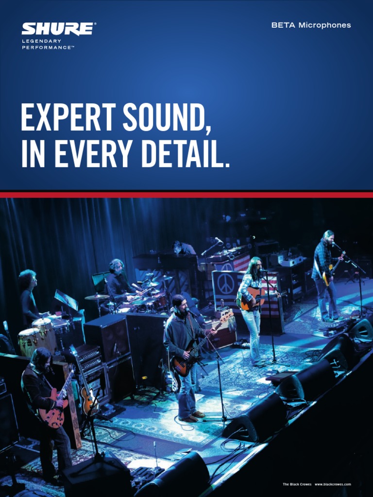 PDF 2010 Beta-Mic Brochure PDF | PDF | Microphone | Sound