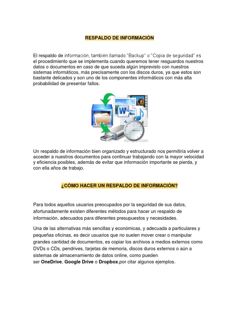 Respaldo de Información | PDF | Apoyo | Archivo de computadora