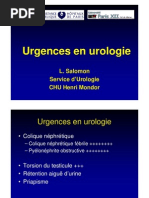Le Priapisme | PDF | Vaisseau sanguin | Spécialités médicales