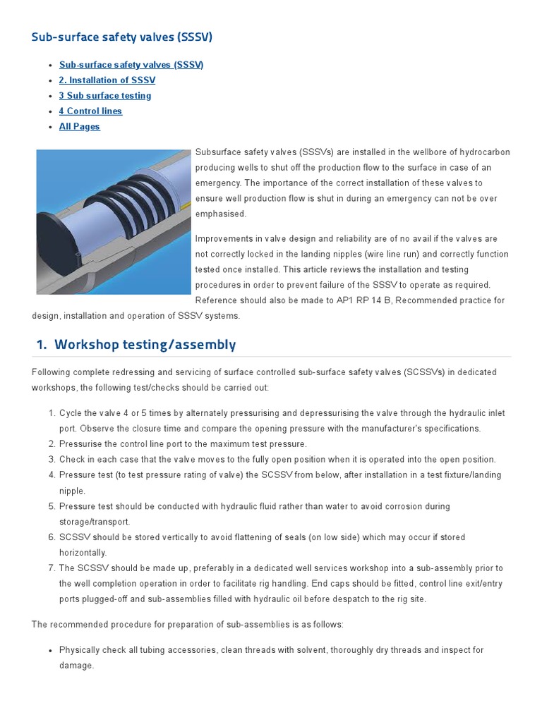 Sub-Surface Safety Valves (SSSV) Wipertrip | PDF | Valve | Viscosity