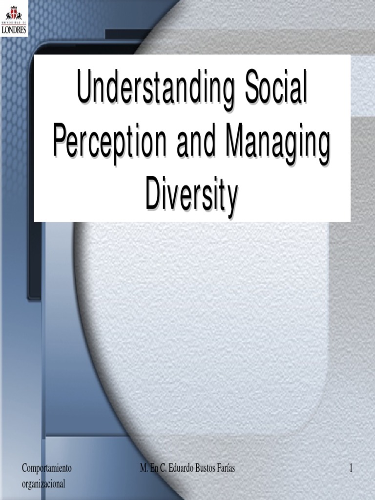 Understanding Social Perception and Managing Diversity | PDF | Decision ...