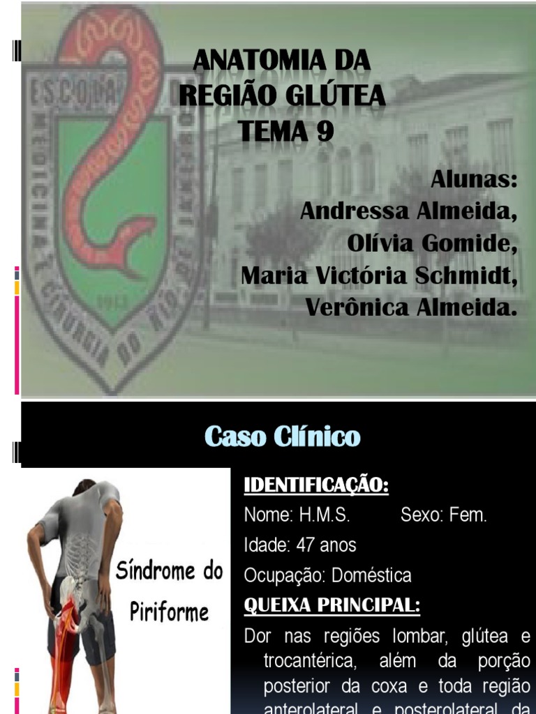 Anatomia região Glútea | PDF | Artéria | Nervo