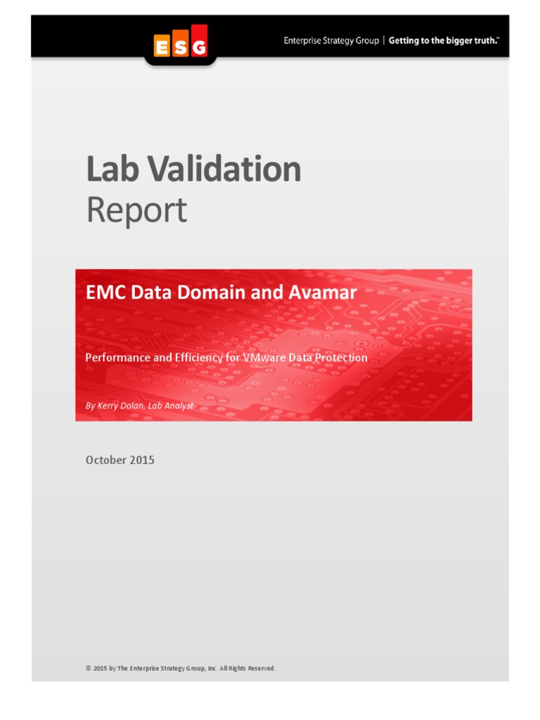 Esg Lab Validation Report Emc Data Domain Avamar | PDF | Backup | Virtual Machine