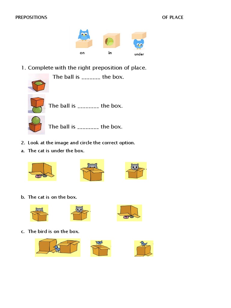 Complete With The Right Preposition of Place. The Ball Is - The Box | PDF