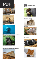 15 Oficios y 15 Profesiones | PDF