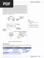 Anatomy of the DCML Pathway Explained | PDF | Neuroscience | Nervous System