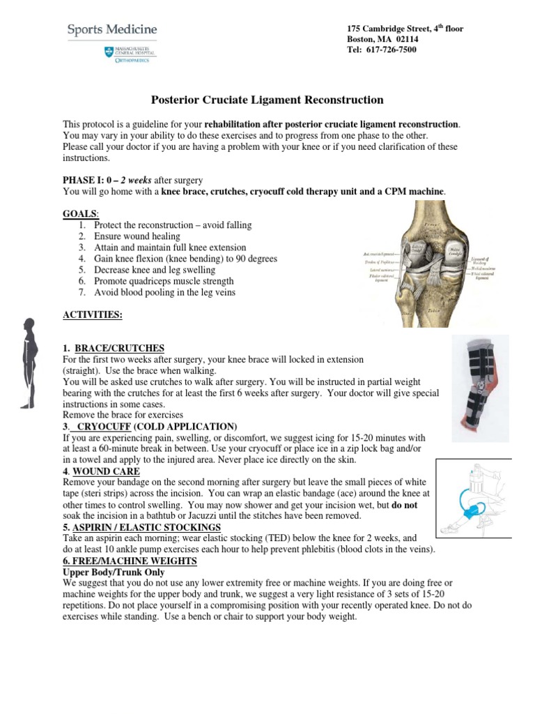 Posterior Cruciate Ligament(PCLR)Rehabilitation Protocol | Knee ...