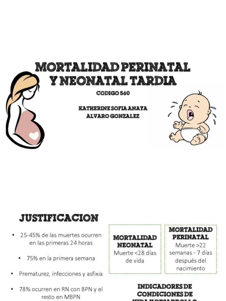 Protocolo Mortalidad Perinatal y Neonatal Tardia FINAL | Parto | Infantes