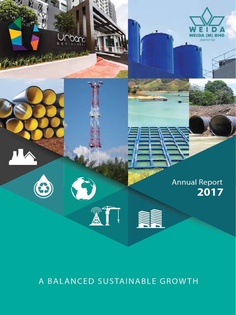 Annual Report 2017 | PDF | Dividend | Board Of Directors