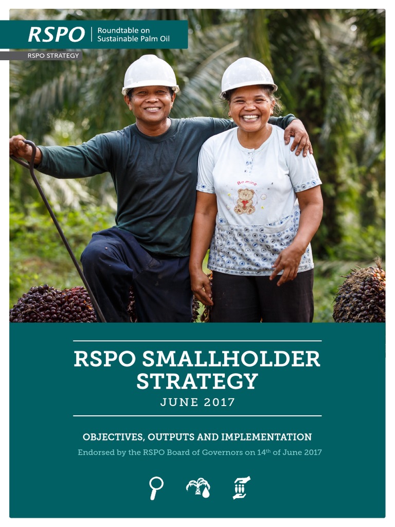 RSPO Smallholder Strategy-English | PDF | Strategic Management ...