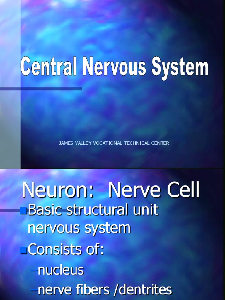 Overview of the Central Nervous System | PDF | Central Nervous System ...