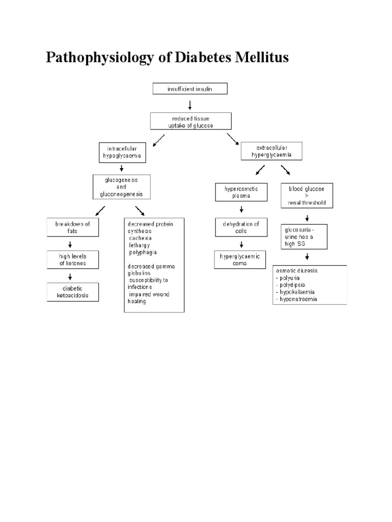 Physiology of Diabetes Mellitus | PDF