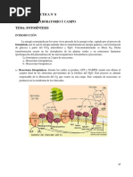 Reacción Hill | PDF | Fotosíntesis | Metabolismo