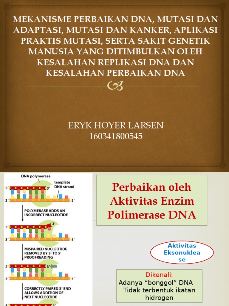 Mekanisme Perbaikan Dna, Mutasi Dan Adaptasi | PDF