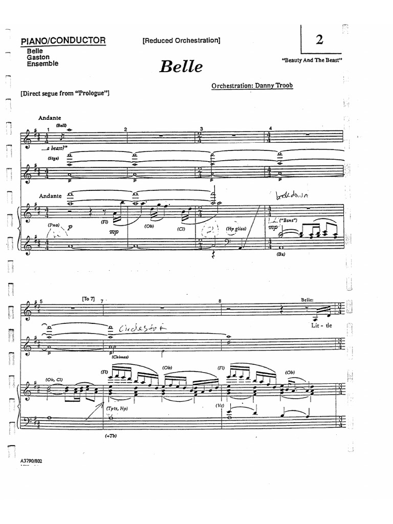 Belle | PDF