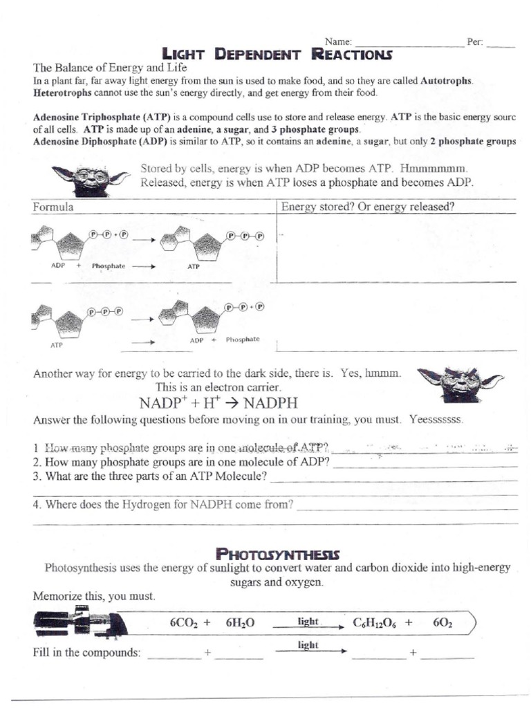 Light and Dark Activity Worksheets | PDF