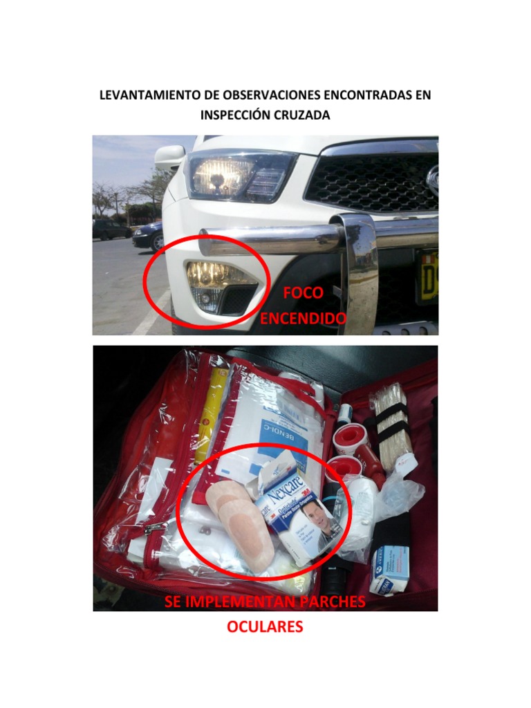 Levantamiento de Observaciones Encontradas en Inspección Cruzada | PDF