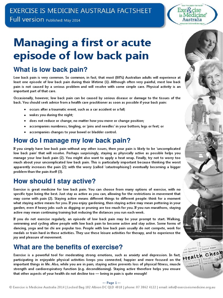 2014 Low Back Pain FULL | PDF | Back Pain | Low Back Pain